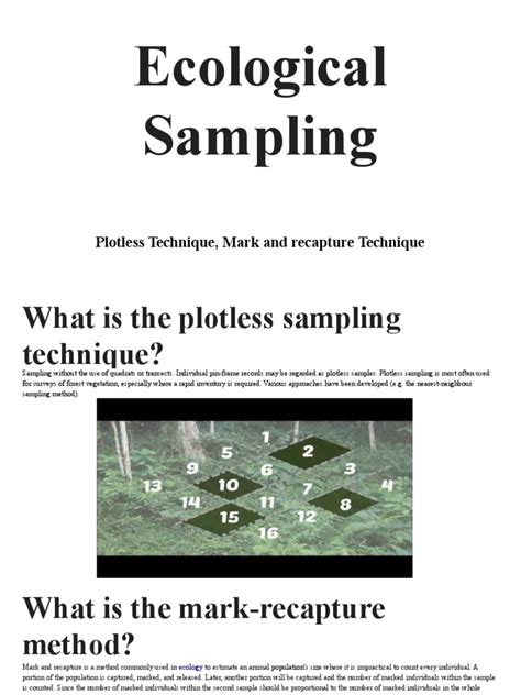 Estimating Population Sizes Through Ecological Sampling Techniques A Comparison Of Plotless And