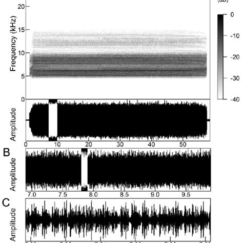 Calling Song Of Cicada Barbara A Spectrogram Time Vs Frequency Vs