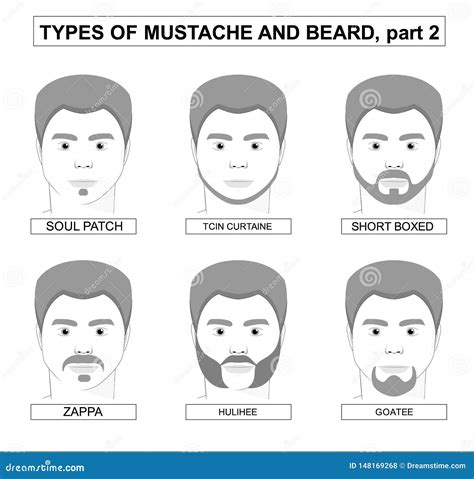 Different Types Of Mustaches And Beards The Ultimate Guide To Facial