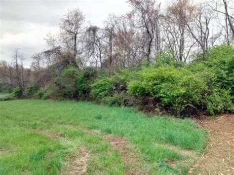 Forestry Mulching Before And After With Pictures FarmingThing Com