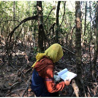 The Survey In A Sampling Plot In The Study Area Source Photo Taken By Download Scientific