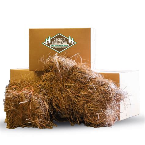 Premium Longleaf Pine Straw In A Box Georgia Pine Straw