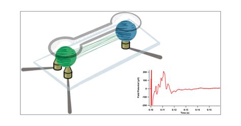 Fully Integrated 3d Microelectrode Arrays With Polydopamine Mediated
