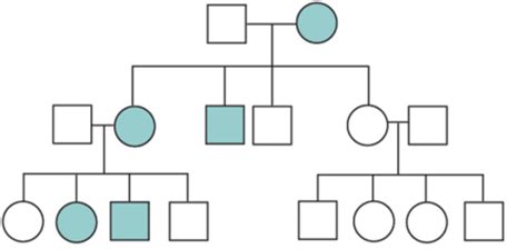 Genetic And Congenital Disorders Autosomal Dominant Disorders Part 1 Flashcards Quizlet