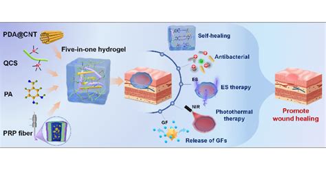 Five In One Hydrogel Integrating Bacteriostasis Self Healing Capability Growth Factor Release