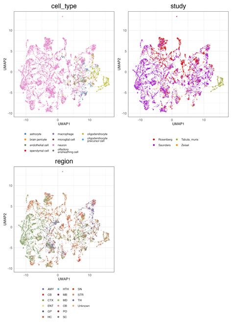 Dataset Mouse Brain