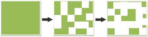 A Schematic Representation Of The Habitat Fragmentation Process Which