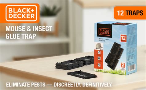 Amazon.com : BLACK+ DECKER Glue Traps for Mouse & Insect- Heavy- Duty Sticky Traps for Mice ...