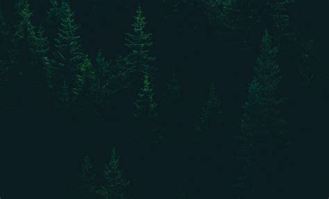 Mainframe Services Croz