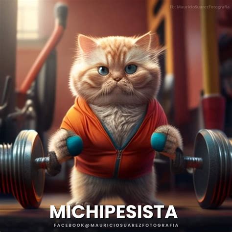 Michi Profesiones Y Michi Actividades Solo Gatos