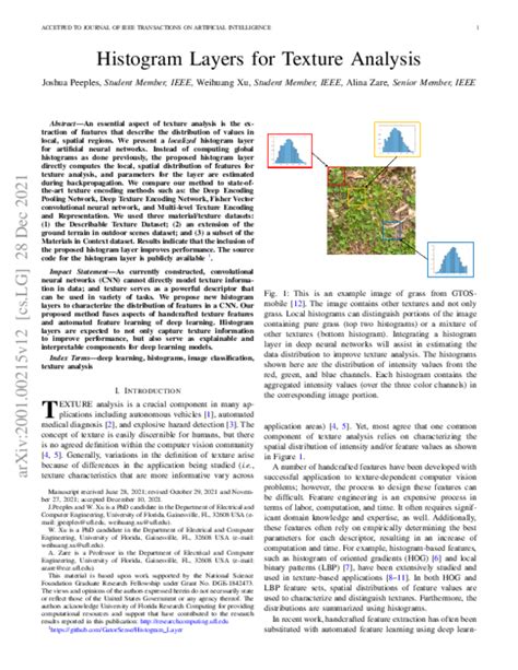 pdf histogram layers for texture analysis