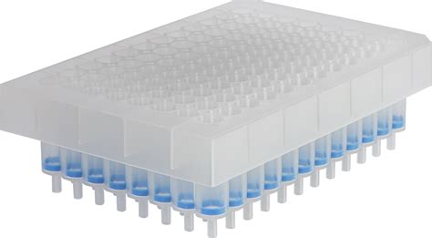 Nucleospin Rna Virus Kit At Roderick Tipton Blog