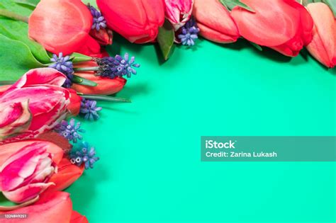 텍스트 복사 공간을 위한 장소가 있는 녹색 가로 배너입니다 3월에 대한 스톡 사진 및 기타 이미지 3월 4월 결혼기념일 Istock