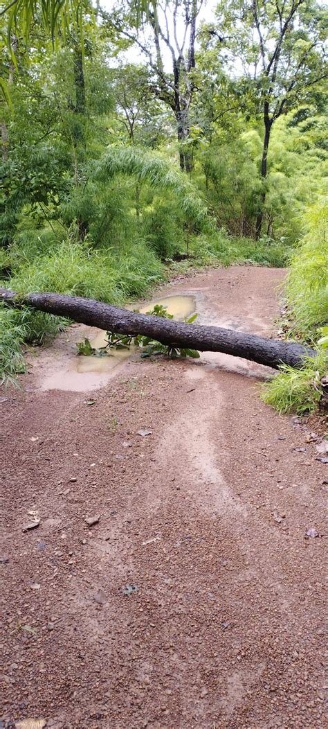 Austhai Geophysical Consultants Group On Linkedin Another Successful 2d Induced Polarization