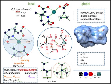 Illustration Of Certain Important Local And Global Features In The