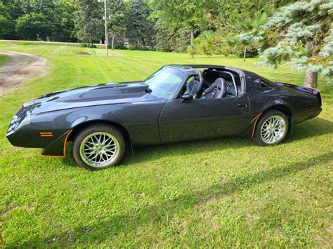 1981 Pontiac Firebird For Sale 343463 Motorious