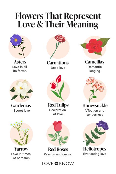 Flowers That Represent Love And Their Meaning Flower Meaning I Love You