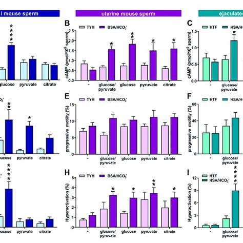 Ejaculation Provides Higher Flexibility In The Energy Requirements For Download Scientific
