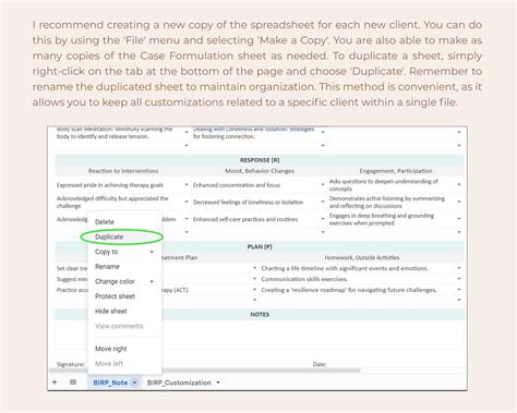 Birp Note Template Therapist Templates Therapist Psychology Therapy Notes Psychotherapist