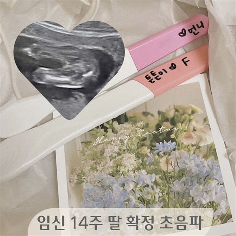 둘째 임신 14주 니프티 검사 성별 딸 여아 확정 초음파 연년생 자매 네이버 블로그