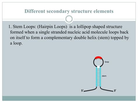 secondary structure of rna and its predicting elements pptx
