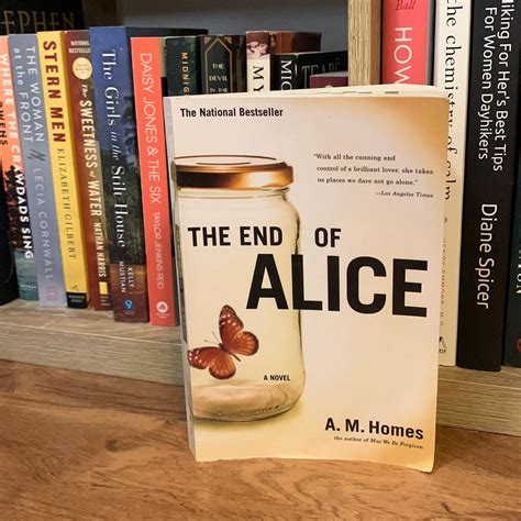 The End Of Alice By A M Homes Paperback Pangobooks