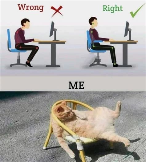 Software Engineers Vs Good Posture An Unsolvable Bug Sivamurugan