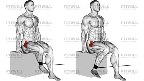 Band Seated Hip Internal Rotation Exercise Guide Video Techniques