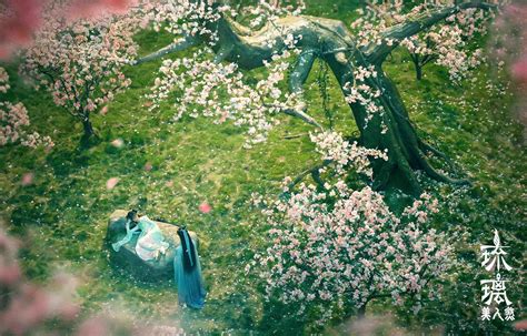 I T M N S Thu H T Kh N Gi C A L U Ly M Nh N S T Elle