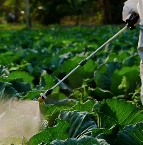 Herbicides At Best Price In Mumbai By Astec Lifesciences Limited Id