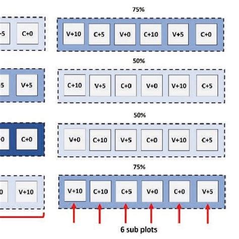 a schematic design of the experiment experiments were designed as the