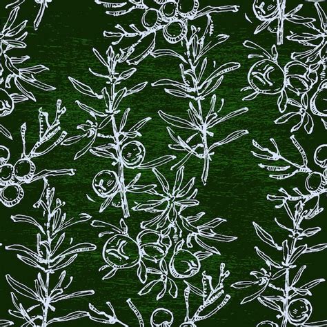 Premium Vector Juniper Branch Seamless Pattern