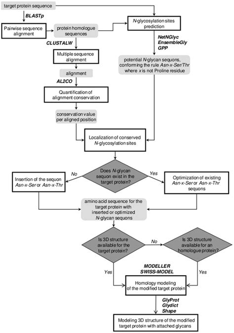 Workflow For Rational Design And Insertion Of N Glycan Sites In