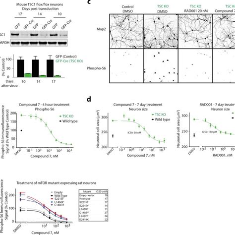 Cambridge Neuropsychological Test Automated Battery Cantab Subtest Download Scientific