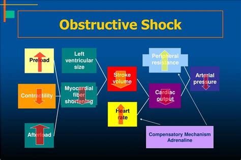 Ppt Approach And Hemodynamic Evaluation Of Shocks Powerpoint