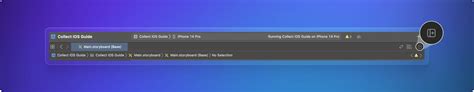 collect data with ios basis theory developer documentation