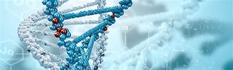 Preimplantation Genetic Diagnosis Pgd By Pgd Seq Shiva Scientific