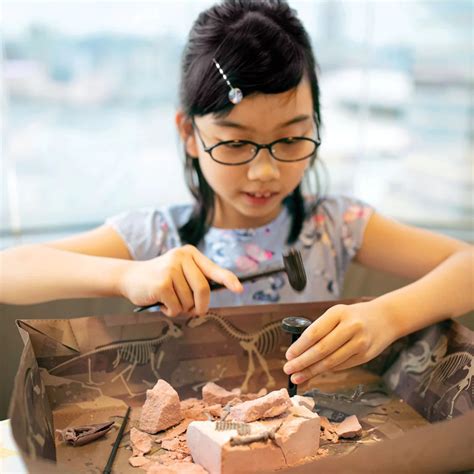 4m Dig A Pteranadon Skeleton