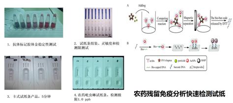 Pesticide Residue Detection App To Soon Become Widely Available Cgtn
