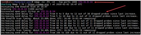 Port Scanning In Penetration Testing Schellman