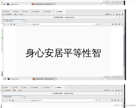 Linux网络基础实验linux下常用服务器的配置实验总结 Csdn博客