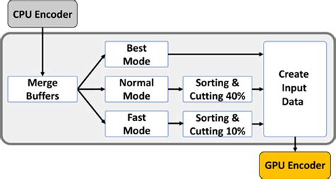 A Flow Chart Of The Process Of Preparing Input Data For The Gpu Encoder Download Scientific