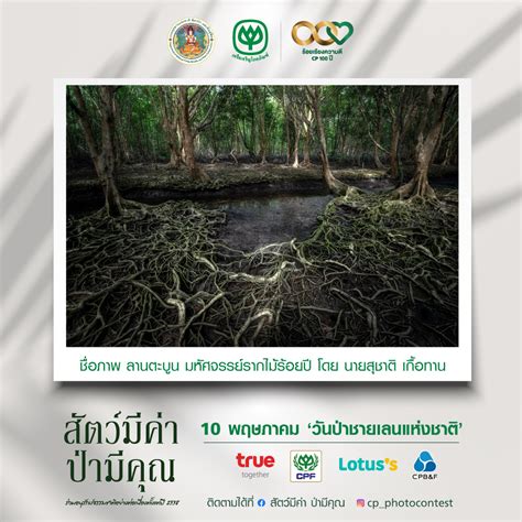 10 พฤษภาคม ‘วันป่าชายเลนแห่งชาติ