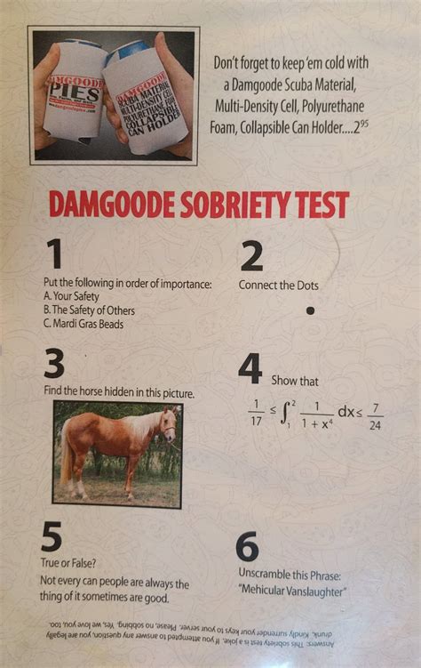 Damgoode Sobriety Test Steve Zazeski