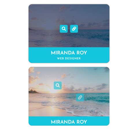 395 CSS Image Hover Effects With Text Animation Example