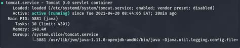 A Step By Step Guide To Installing Apache Tomcat Linux