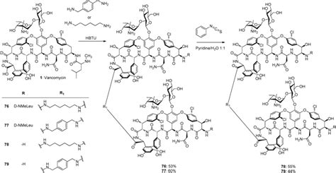 Molecular Structure Of Actinomycin D 80 Downloaded By University Of