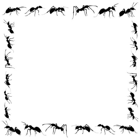 흰색 배경에 벡터 개미 프레임 프리미엄 벡터