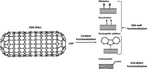 The Covalent Functionalisation Phenomena At The Side And End Cap Of Cnt Download Scientific