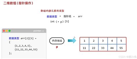 C语言——指针指针c语言 Csdn博客